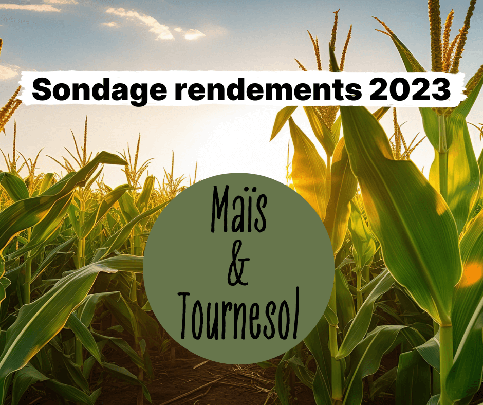 Maïs & Tournesol 2023 : Nous avons besoin de vous ! - AS CEFIGAM